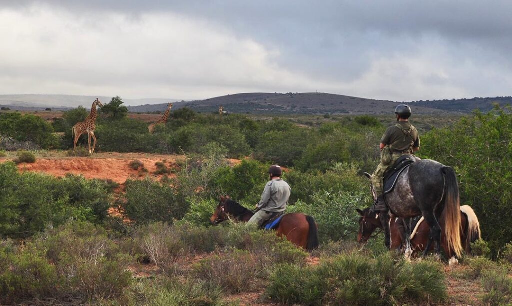 Field Conservation - Los Angeles Zoo and Botanical Gardens