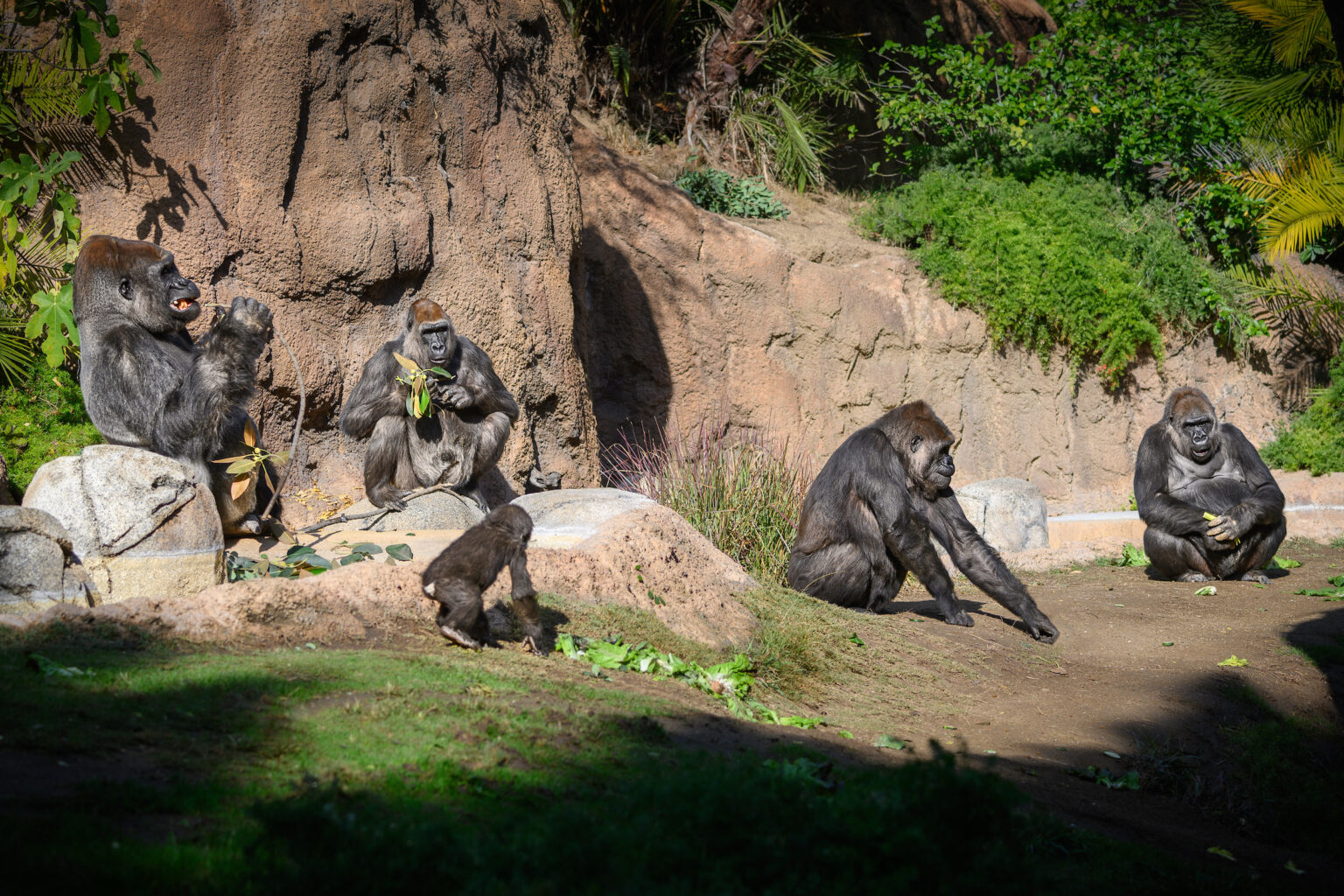 FAQs - Los Angeles Zoo and Botanical Gardens