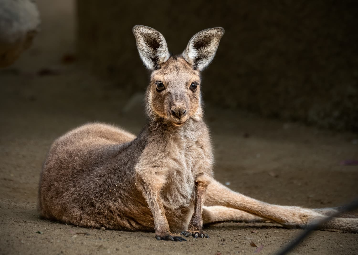 Welcome to the World - Los Angeles Zoo and Botanical Gardens