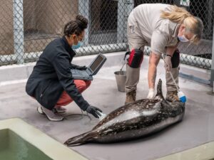 Behind the Scenes with Keepers - Los Angeles Zoo and Botanical Gardens
