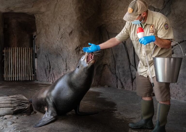 Behind the Scenes with Keepers - Los Angeles Zoo and Botanical Gardens