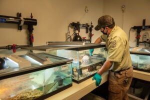 Behind the Scenes with Keepers - Los Angeles Zoo and Botanical Gardens