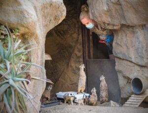 Behind the Scenes with Keepers - Los Angeles Zoo and Botanical Gardens