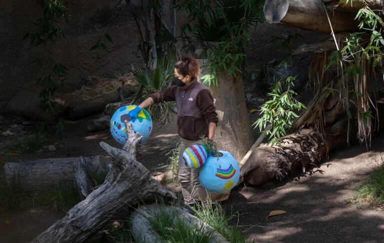 Behind the Scenes with Keepers - Los Angeles Zoo and Botanical Gardens