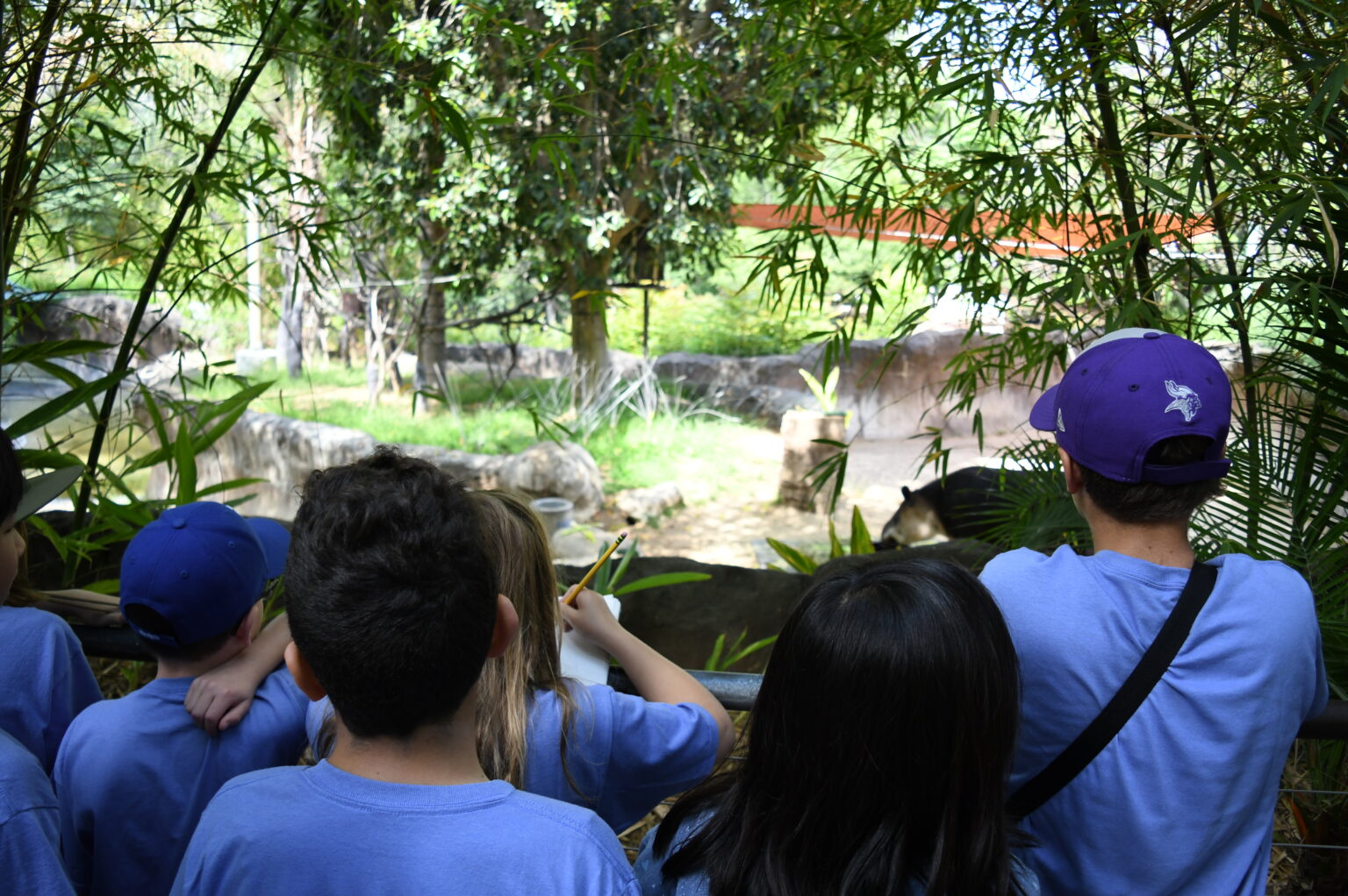 Zoo Camp - Los Angeles Zoo and Botanical Gardens