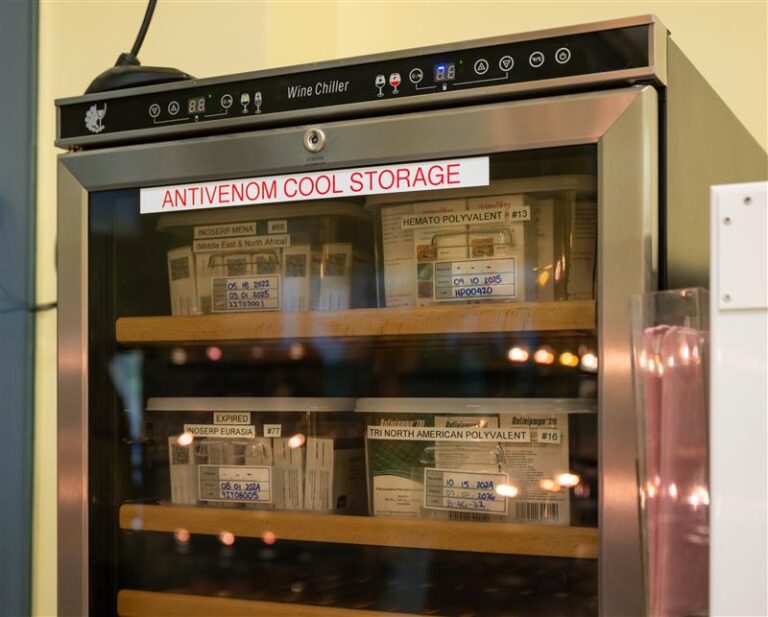 A Ssseriously Close Look at Snake Venom - Los Angeles Zoo and Botanical ...