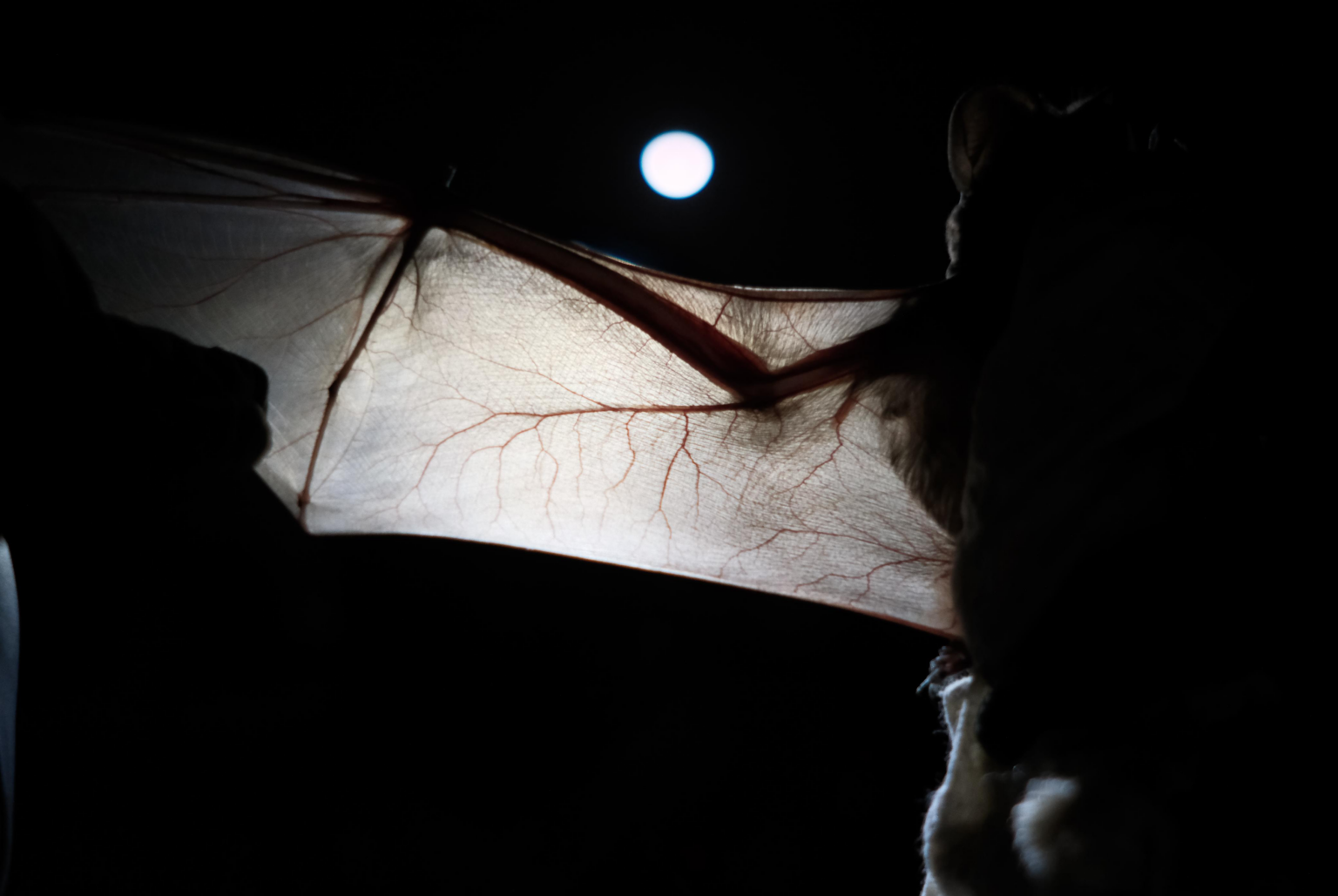 Los Angeles Zoo and Botanical Gardens