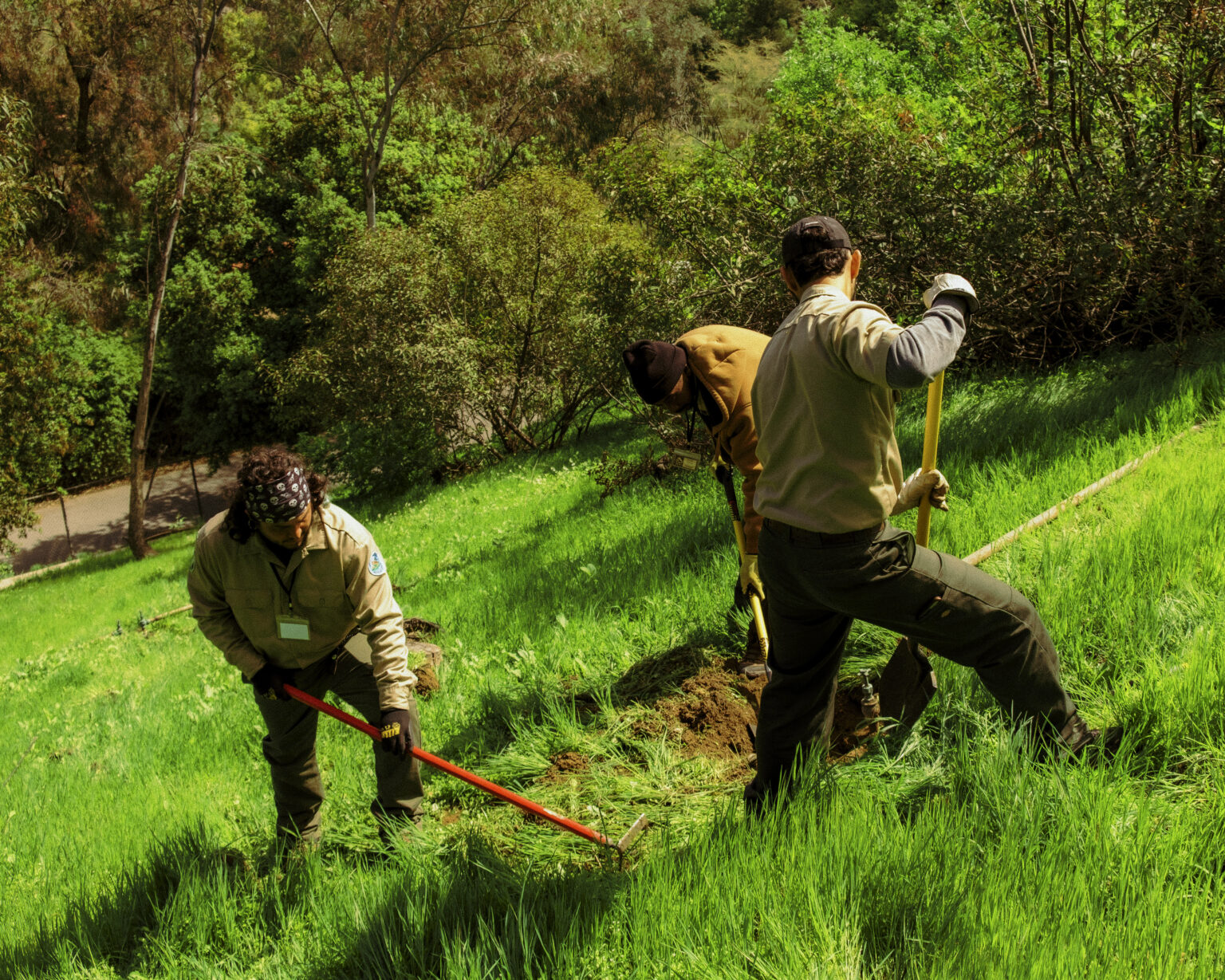 L.A. ZOO PARTNERS WITH OUTWARD BOUND ADVENTURES ON HABITAT RESTORATION ...