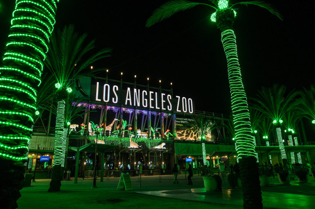 Events at the L.A. Zoo - Los Angeles Zoo and Botanical Gardens